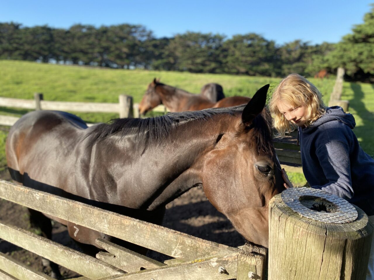 Farming – Barragunda